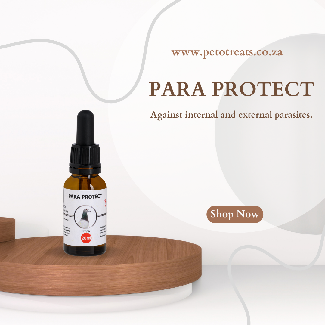 CEST PARA PROTECT 20 ml – Pet O' Treats