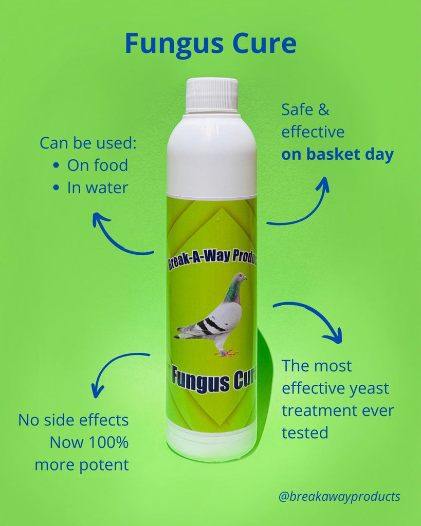 BA FUNGUS CURE – Pet O' Treats