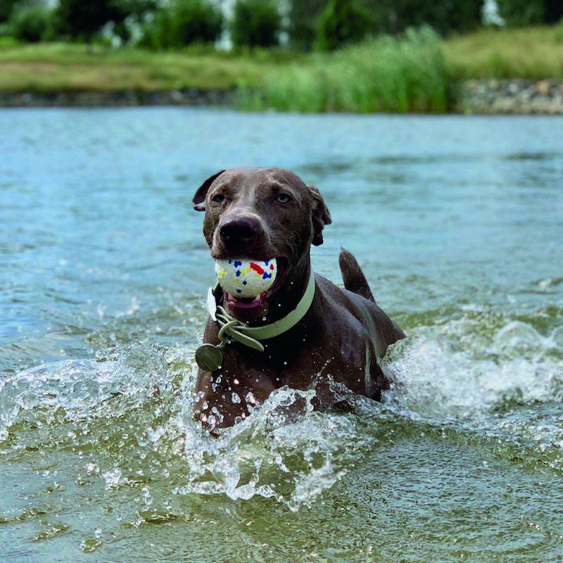 M-PETS BLOOM BALL-TAHITI SERIES BLACK AND WHITE – Pet O' Treats