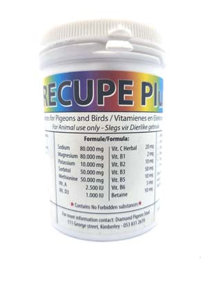 DS RECUPE PLUS – Pet O' Treats