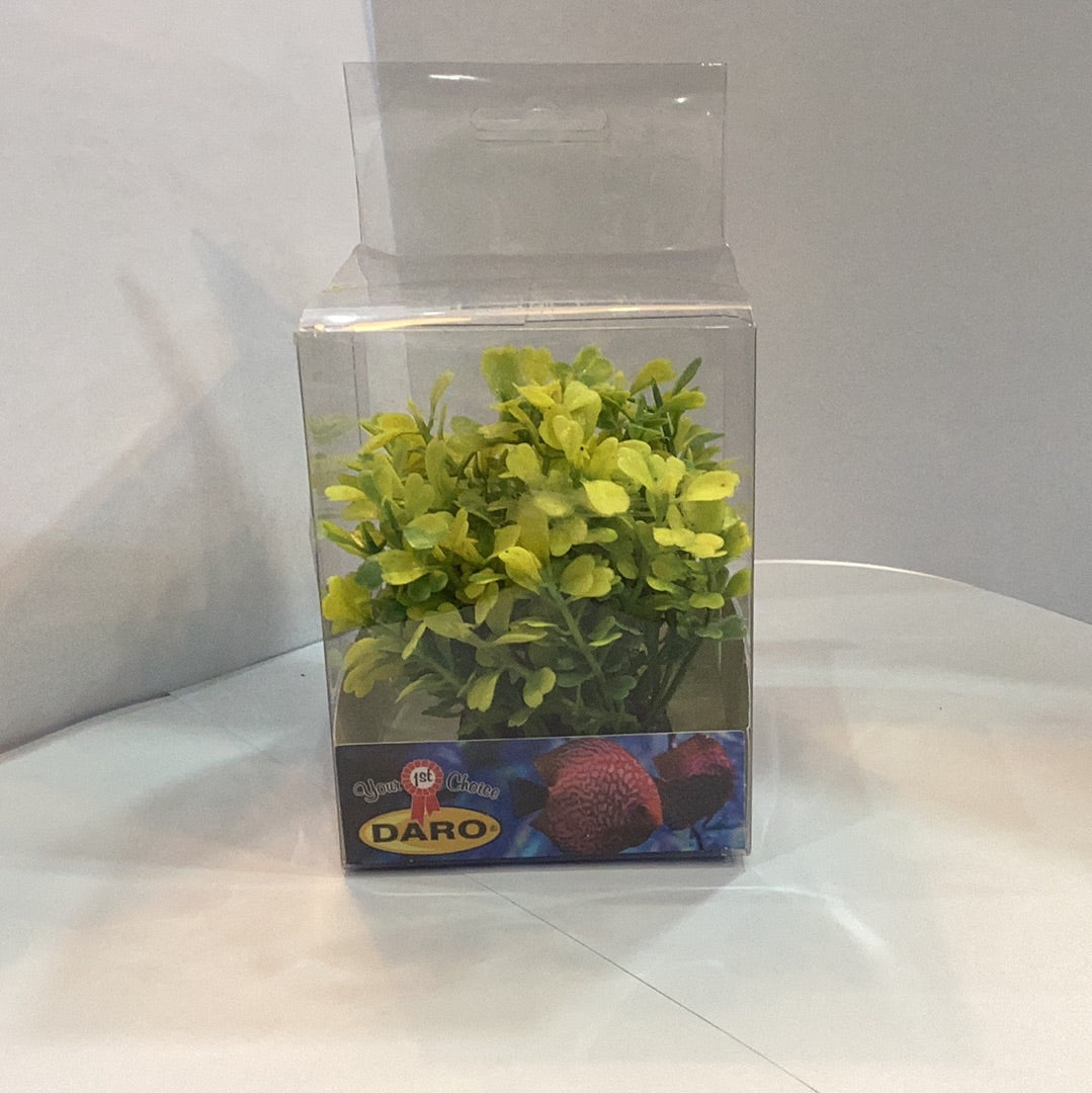 DARO AQUARIUM PLANT PP71228 – Pet O' Treats